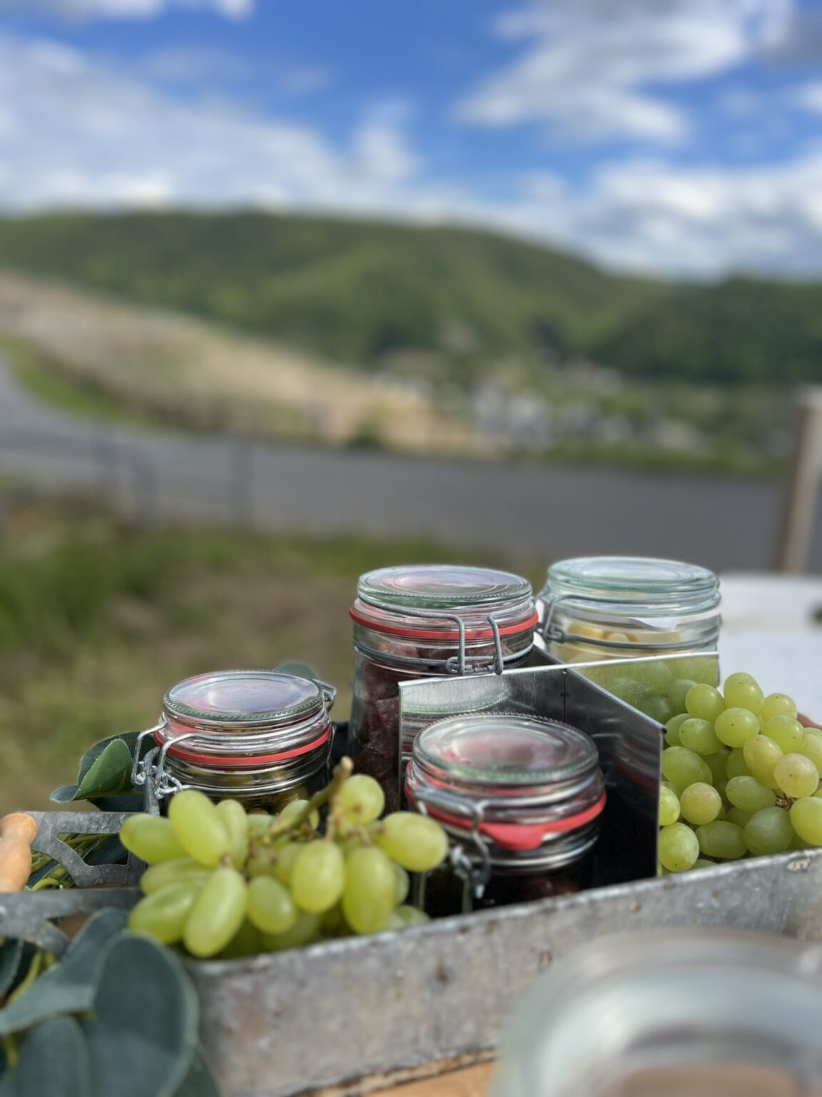 Weinwanderung I Weintour I Herzbluttiger Events
